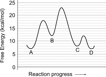 Solved Use the reaction energy diagram above to answer the | Chegg.com