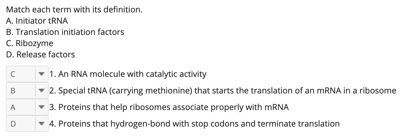 Solved Match each term with its definition. A. Initiator | Chegg.com
