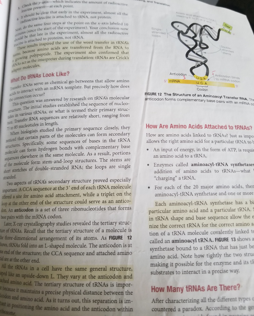 Solved There is an error on this page of a Molecular Biology | Chegg.com