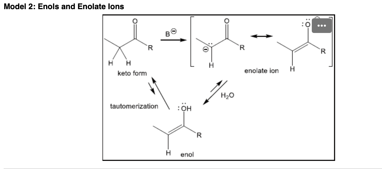 Solved Model 2: Enols and Enolate lons R R R H H keto form | Chegg.com