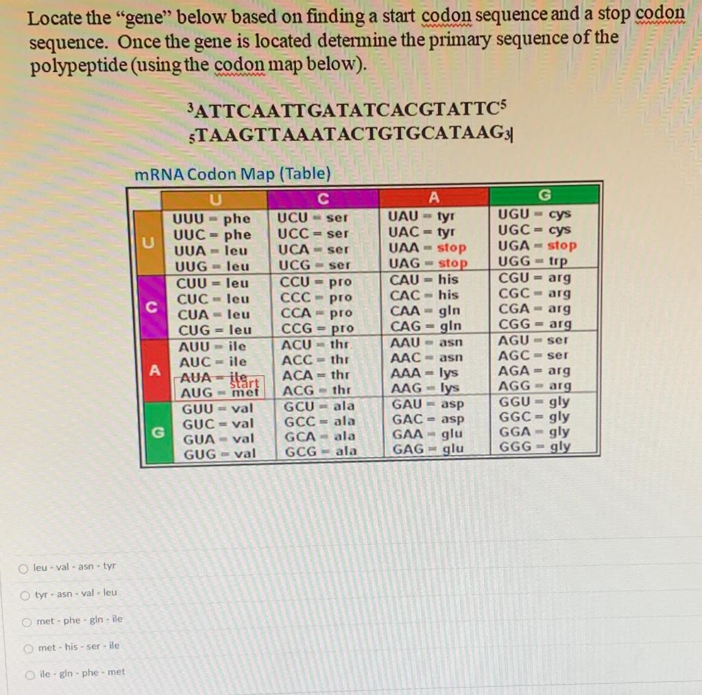 Solved Locate the "gene" below based on finding a start | Chegg.com