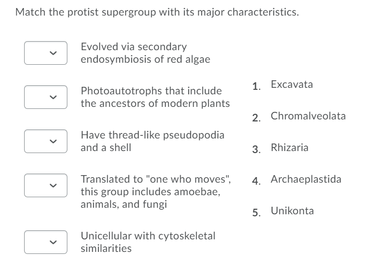 Solved Match the protist supergroup with its major | Chegg.com
