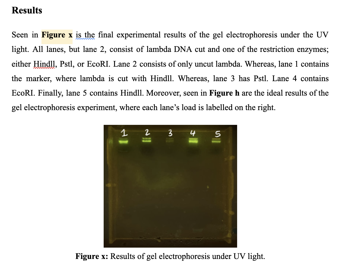 Solved Discuss the results of the restriction digestion and | Chegg.com
