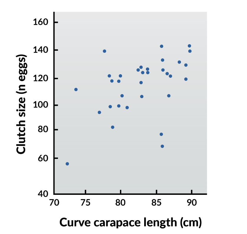 Solved In a study, the null hypothesis is given as “clutch | Chegg.com