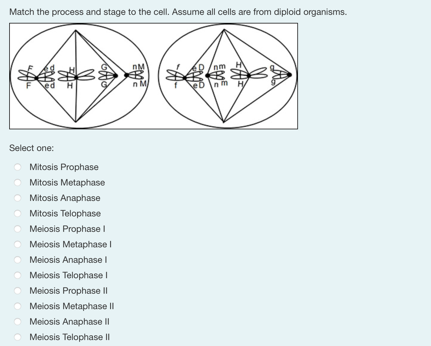 Solved Match the process and stage to the cell. Assume all | Chegg.com