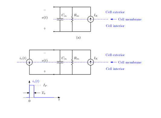 Solved Exercise 3. [35 points.] Consider Figure (a) below. | Chegg.com