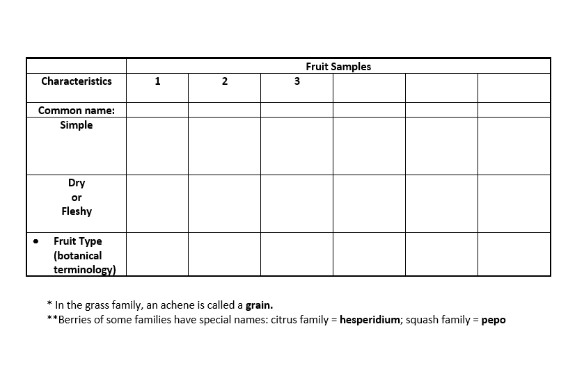 Solved Observe the fruit samples pictured below. Use the key | Chegg.com