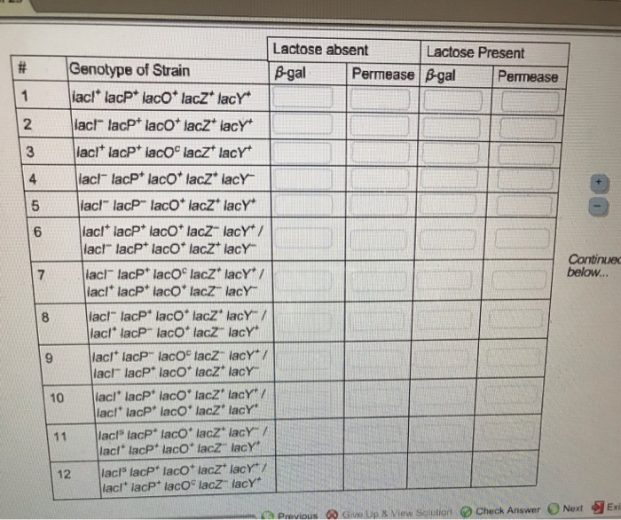 Solved For the Escherichia coli lactose operon genotypes | Chegg.com