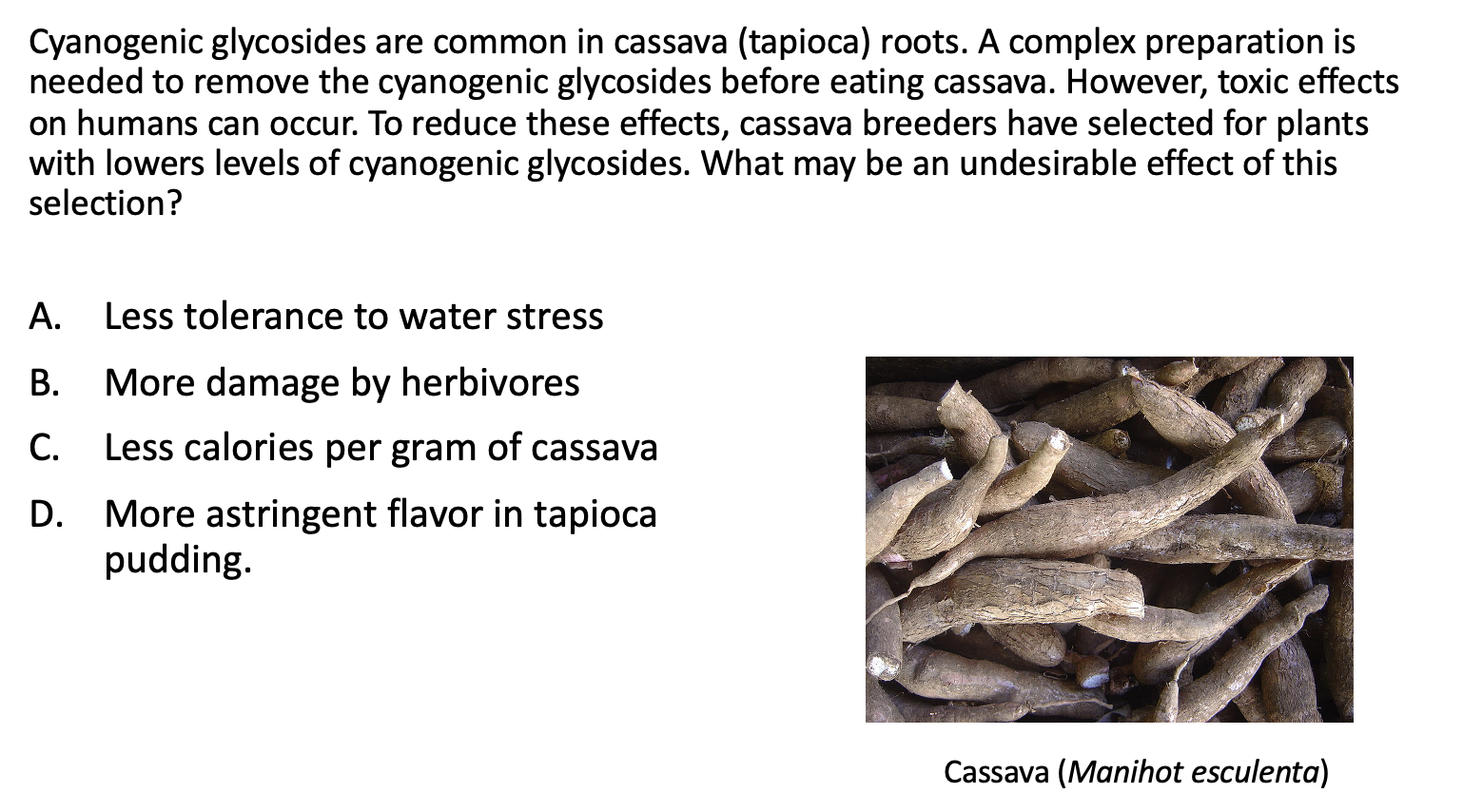Solved Cyanogenic glycosides are common in cassava (tapioca) | Chegg.com