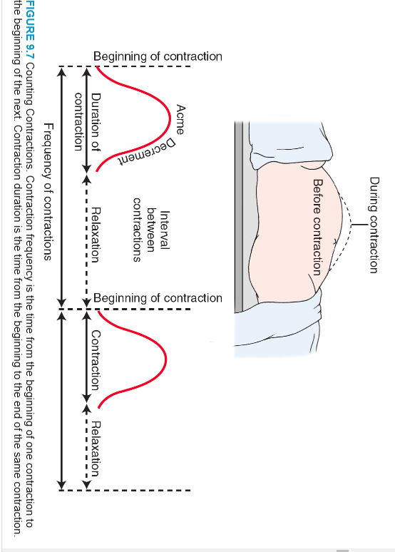 Solved D. Define each of the 7 P’s and how the process of | Chegg.com