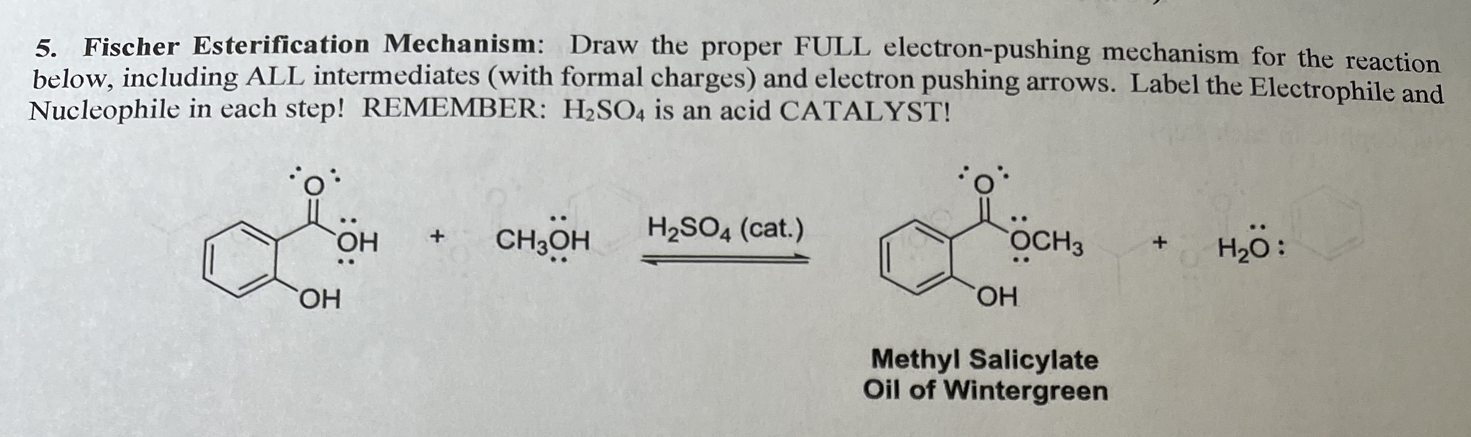 Solved 5. Fischer Esterification Mechanism: Draw the proper | Chegg.com