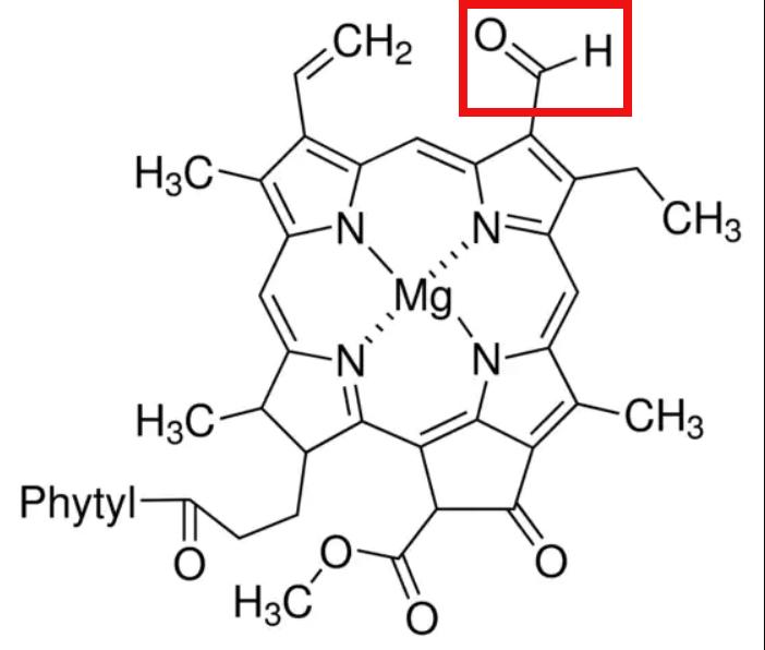 Solved What is one way that the boxed structure in the | Chegg.com