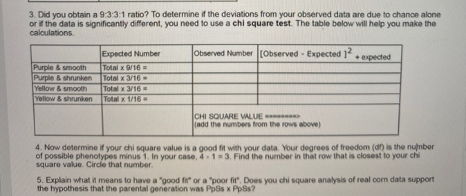 3. Did you obtain a 9:3:3:1 ratio? To determine if | Chegg.com
