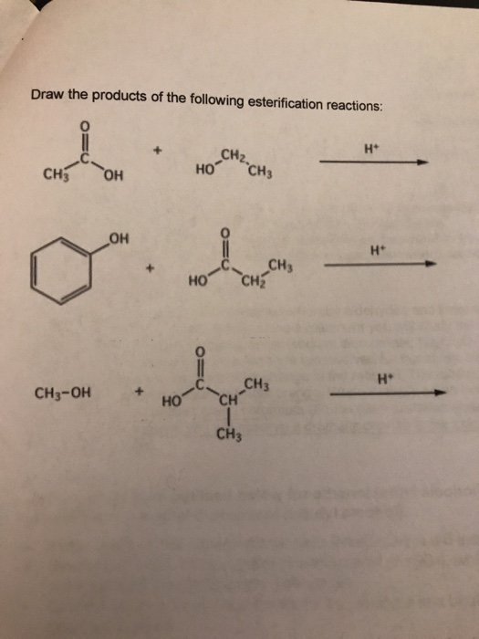 Solved Draw the products of the following esterification | Chegg.com