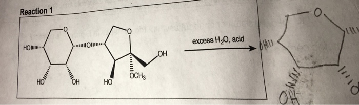 Solved Reaction 1 OH HO OCH OH excess H20, acid | Chegg.com