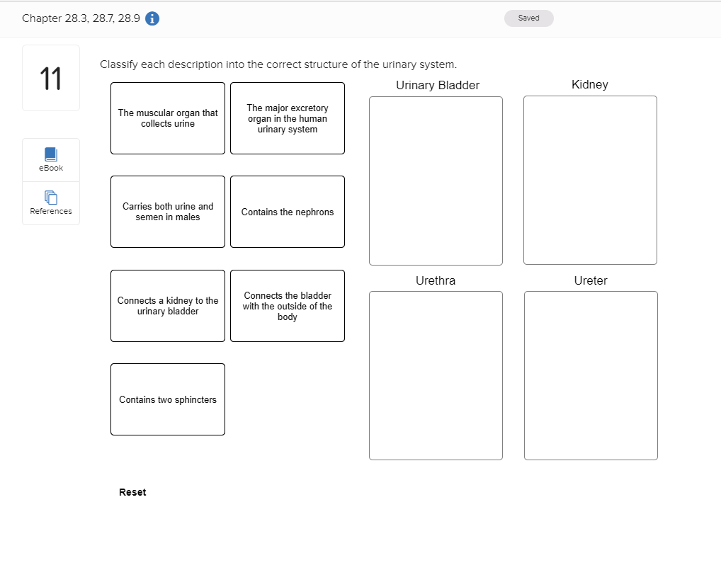 Solved Chapter 28.3, 287, 289 6 Saved Classify each | Chegg.com
