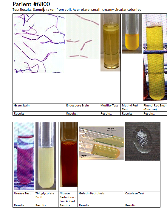 1. Identify test results on your Unknown Data Sheet. | Chegg.com