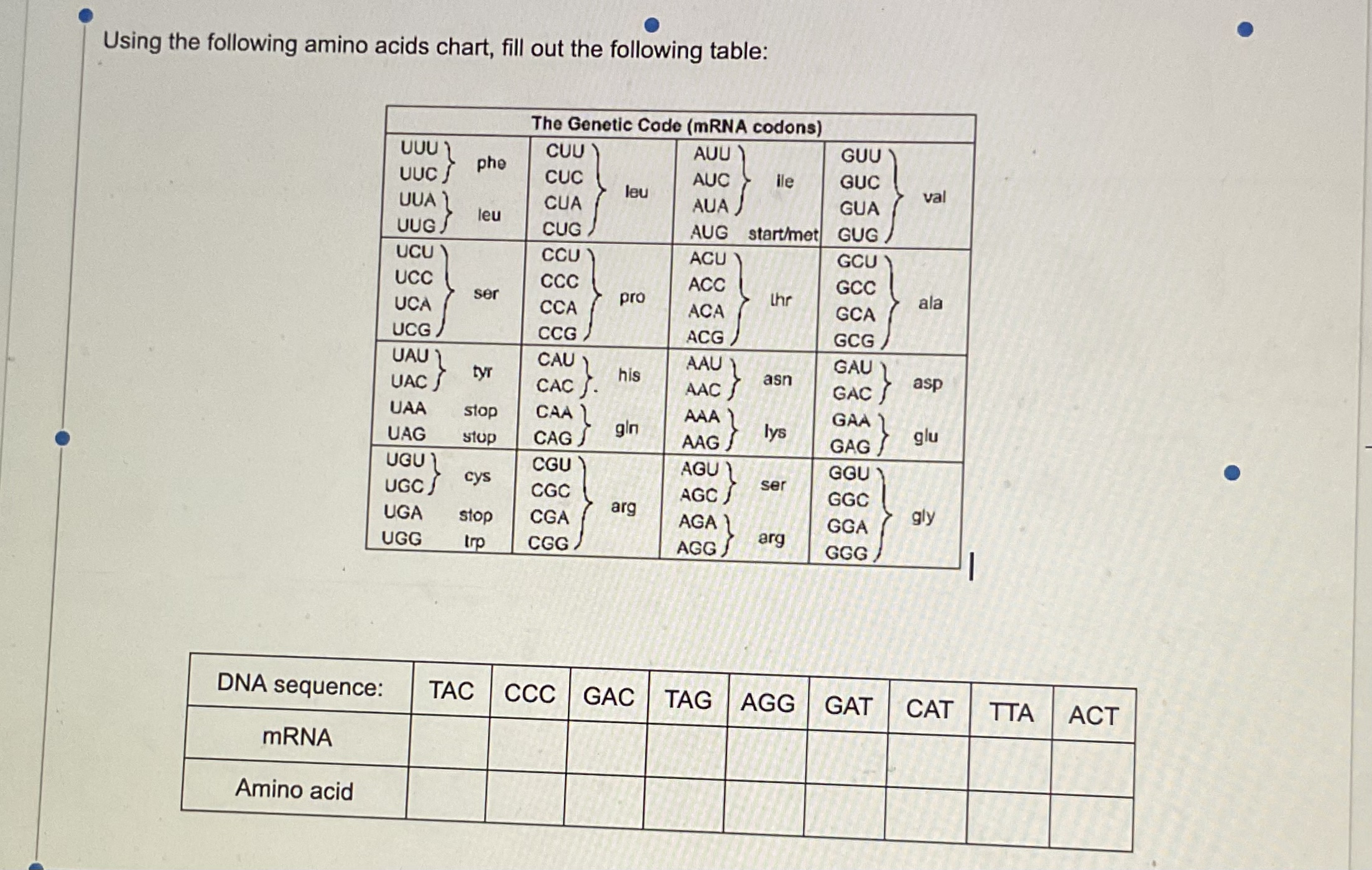 Solved Using the following amino acids chart, fill out the | Chegg.com