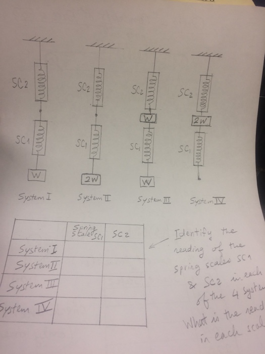 Solved Identify the reading of the spring scales SC_1 & | Chegg.com