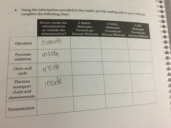 Solved ing the information provided in this week's pre-lab | Chegg.com Solved ing the information provided in this week's pre-lab | Chegg.com