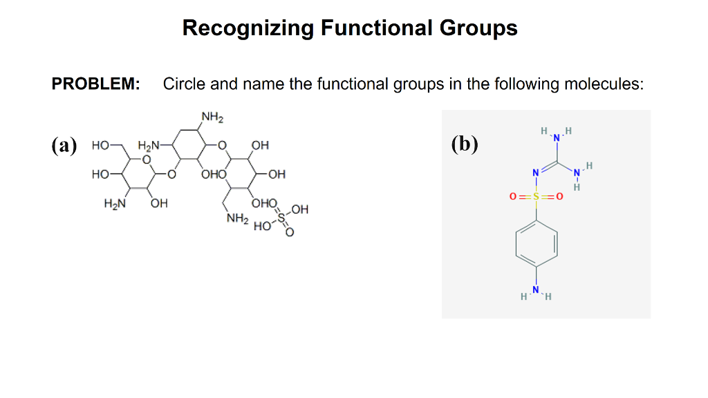 Solved RECOGNIZING FUNCTIONAL GROUPS Circle and name the | Chegg.com
