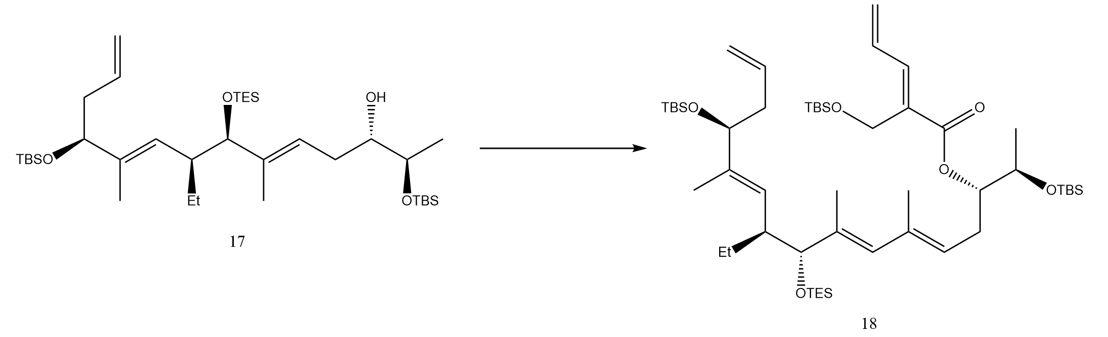 Solved Please show the Yamaguchi Esterification | Chegg.com