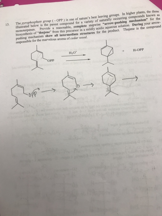 Solved 13. The pyrophosphate group -OPP ) is one of nature's | Chegg.com