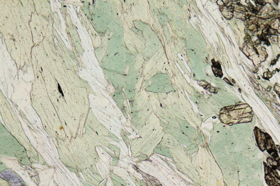 Solved Pelitic protolith (series A): greenschist, | Chegg.com