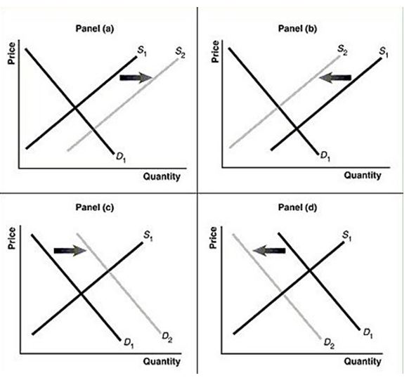 Solved Assume that the graphs in this figure represent the | Chegg.com