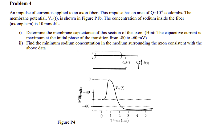 Solved An impulse of current is applied to an axon fiber. | Chegg.com