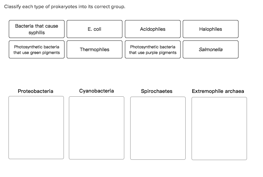 Solved Classify each type of prokaryotes into its correct | Chegg.com