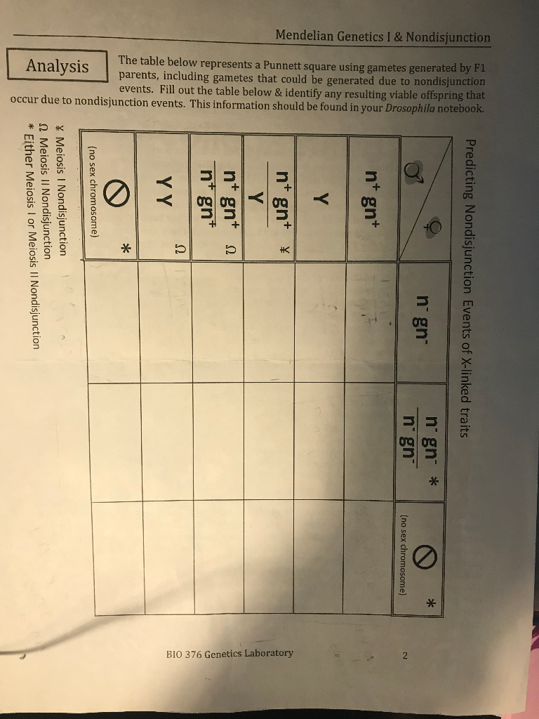 Mendelian Genetics I & Nondisjunction The table below | Chegg.com