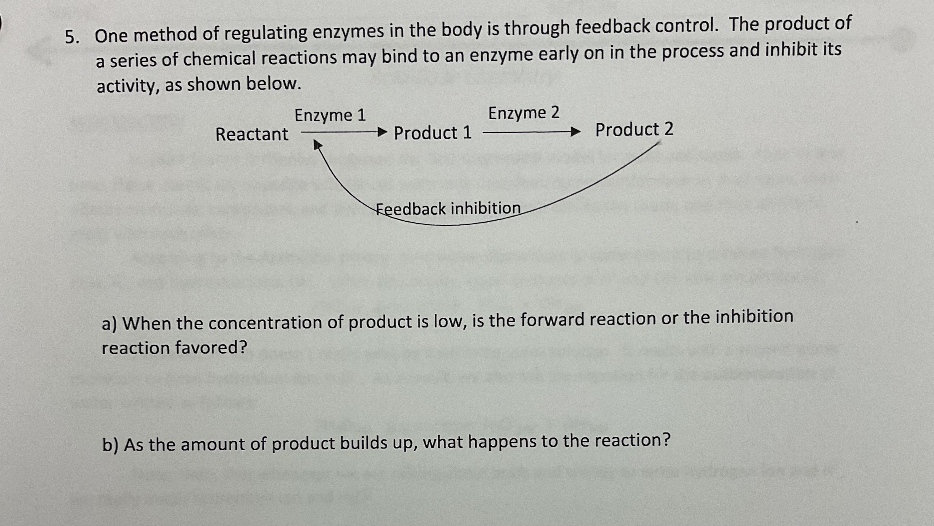 Solved One method of regulating enzymes in the body is | Chegg.com