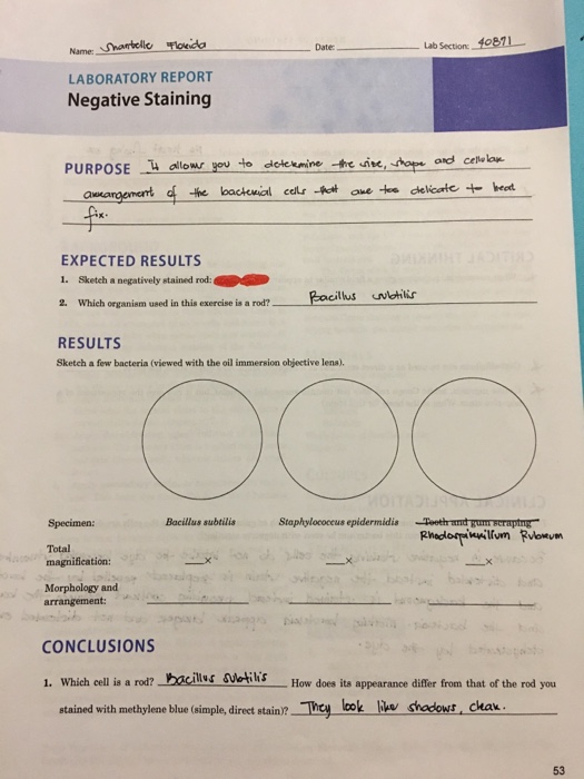 Solved: Answer Results, Sketch With Colors And Question #2... | Chegg.com