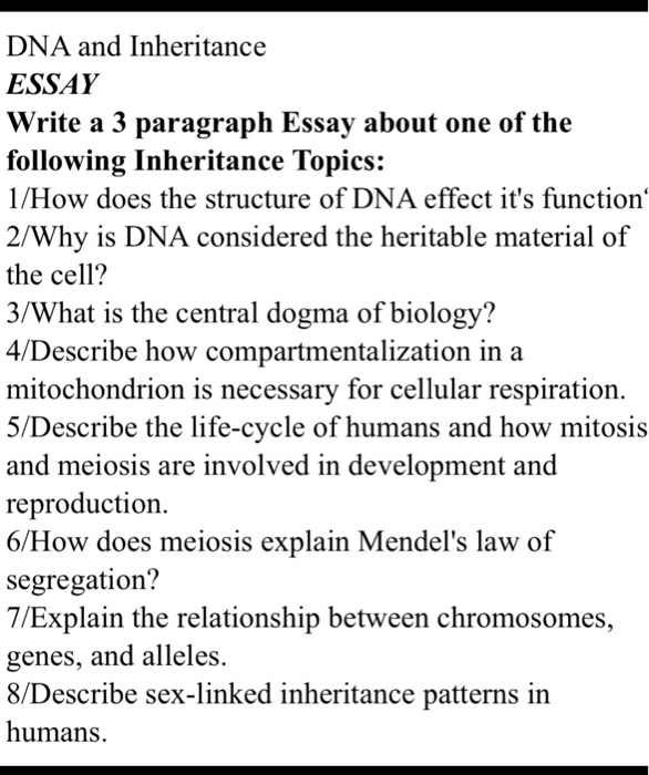 Solved Dna And Inheritance Essay Write A 3 Paragraph Essay