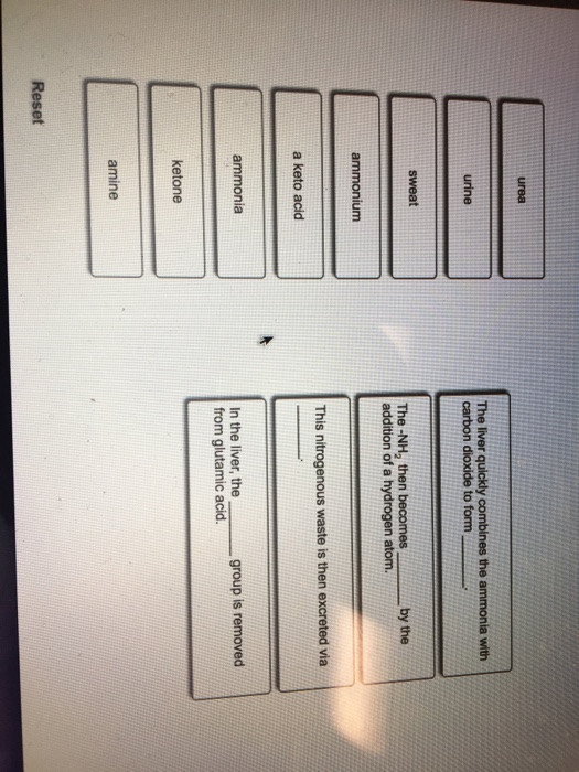 Solved In order to complete each sentence click and drag | Chegg.com