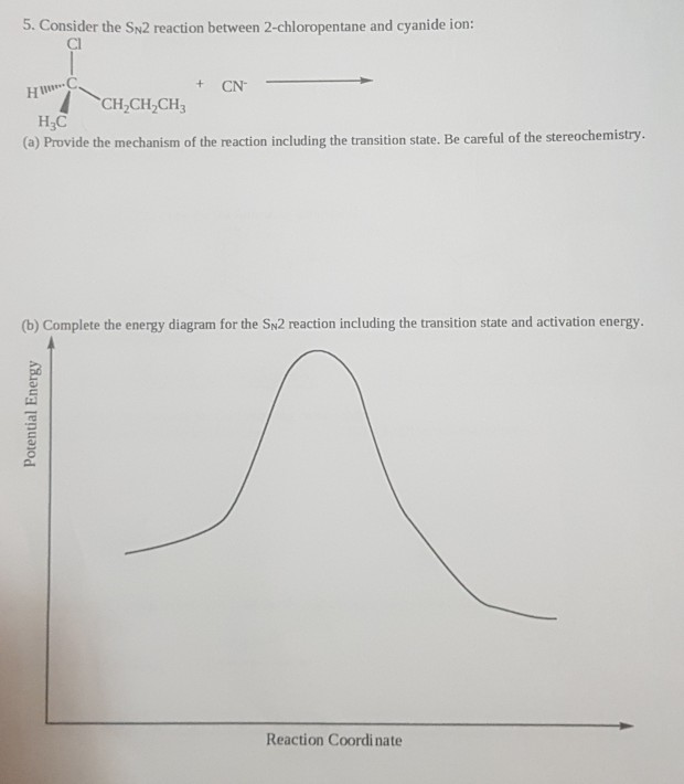 Solved 5. Consider the SN2 reaction between 2-chloropentane | Chegg.com