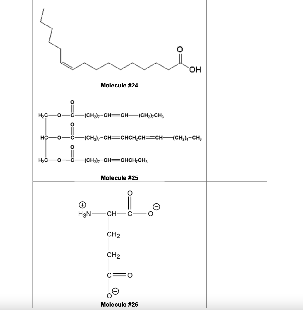 Solved BIOCHEMICAL MOLECULES - STRUCTURE AND FUNCTION ENTER | Chegg.com