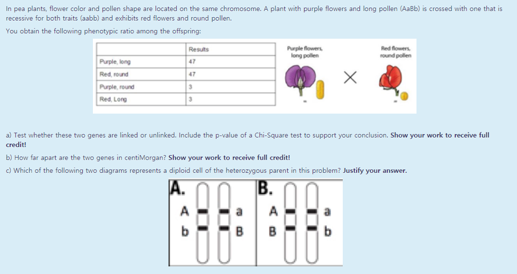 Solved In pea plants, flower color and pollen shape are | Chegg.com