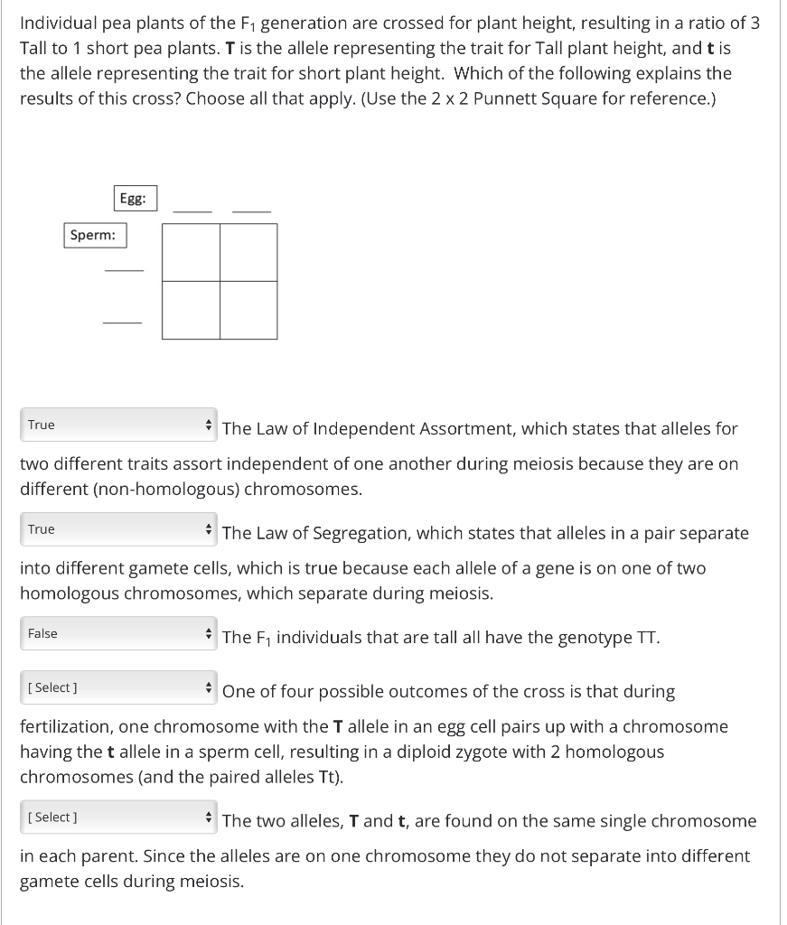 Solved Individual pea plants of the F1 generation are | Chegg.com