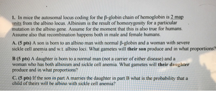 Solved In mice the autosomal locus coding for the | Chegg.com
