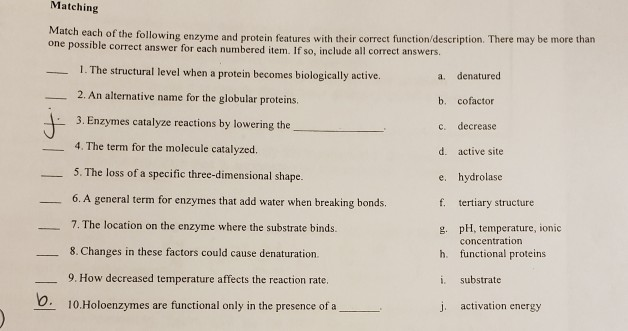 Solved Matching Match each of the following enzyme and | Chegg.com
