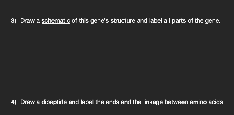 Solved 3)Draw a schematic of this gene’s structure and label | Chegg.com
