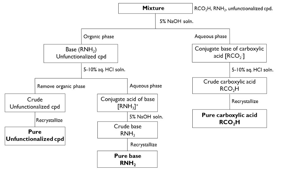 Solved For the portion of the procedure shown below, create | Chegg.com