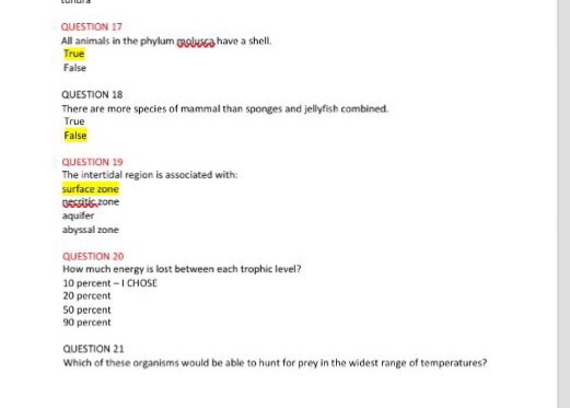 Solved All animals in the phylum molusca have a shell. True | Chegg.com