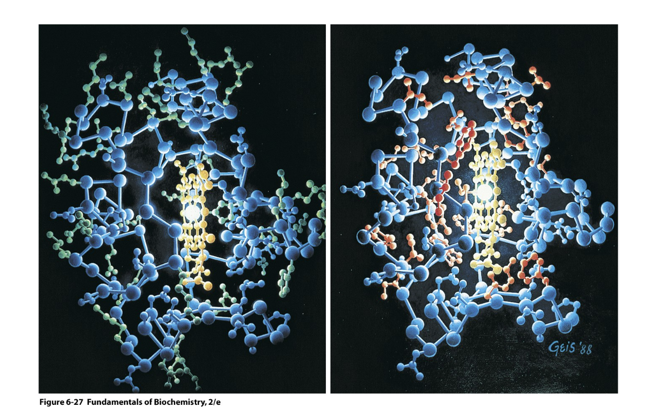 These beautiful paintings by Irving Geis , | Chegg.com