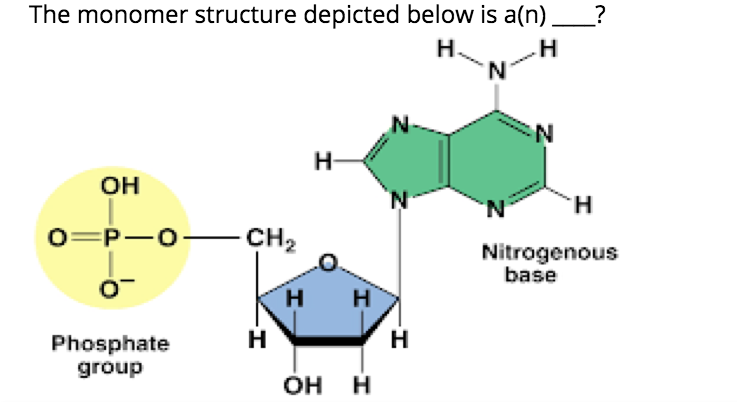 Monomer Structure Of Proteins