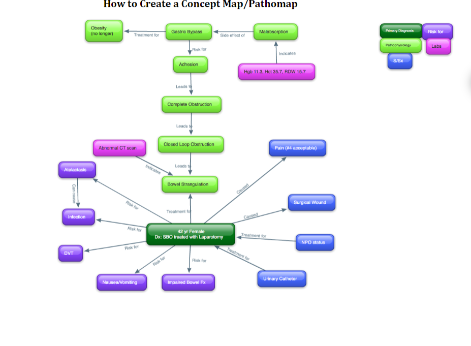 Solved please draw out cocept map for this scenario: DO NOT | Chegg.com