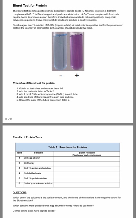 Solved Biuret Test for Protein The Biuret test identifies | Chegg.com