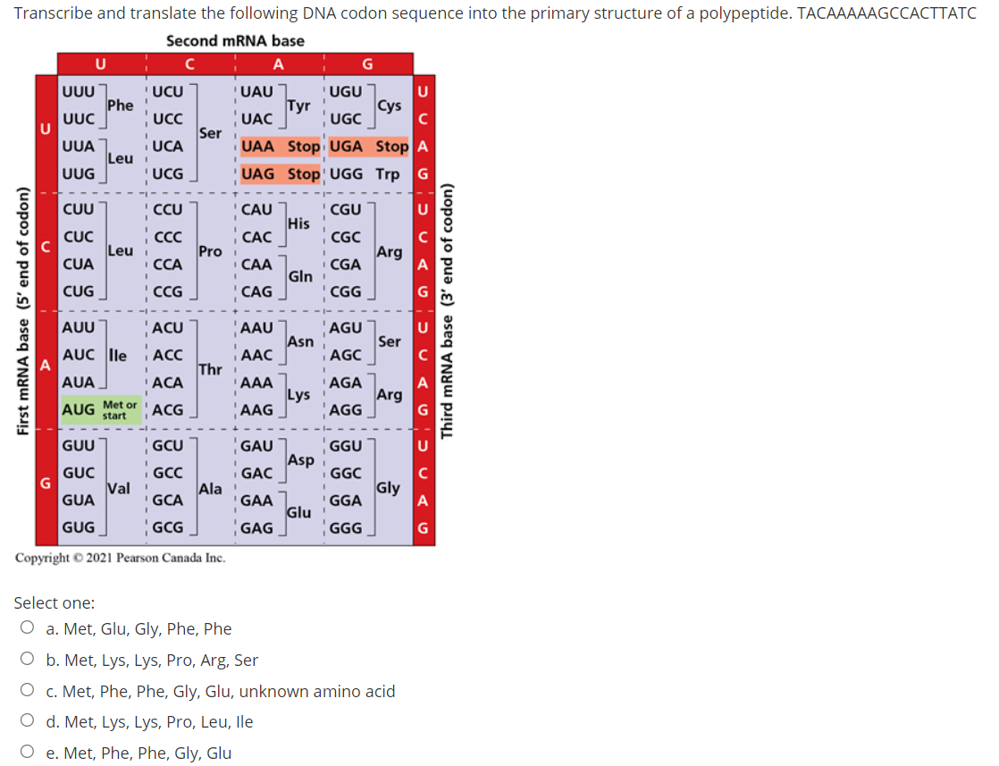 Solved Transcribe and translate the following DNA codon | Chegg.com